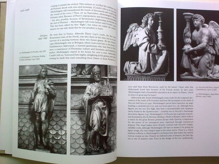 Michelangelo | Mindville | Online Bookstore in Lagos, Nigeria for ...